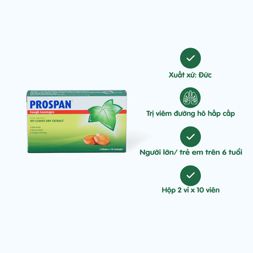 Prospan (Hộp 2 vỉ x 10 viên)