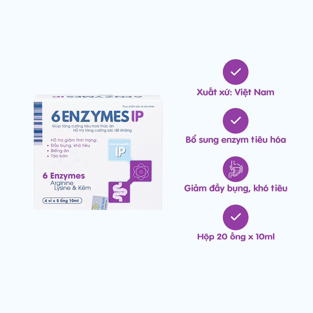 6 Enzymes IP